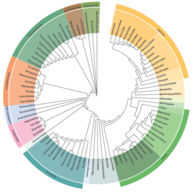 Chemical Ecology of Plants featured | Natural Chemistry Research Group